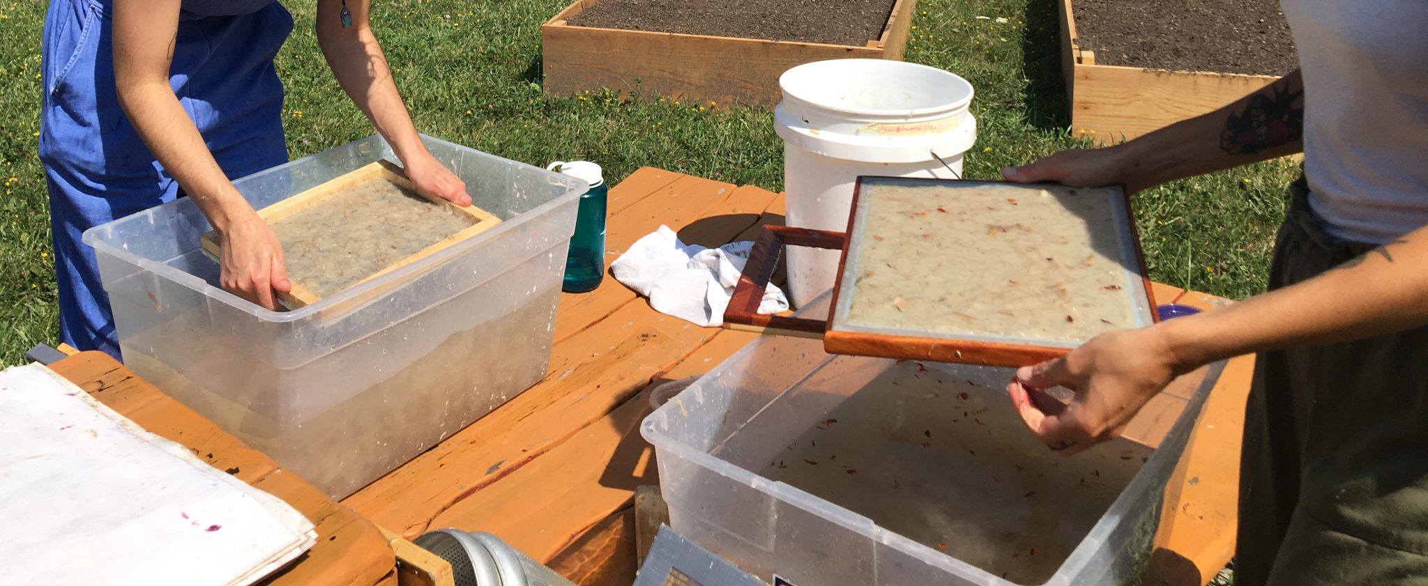 Hand Papermaking with Plants - Enfield Shaker Museum