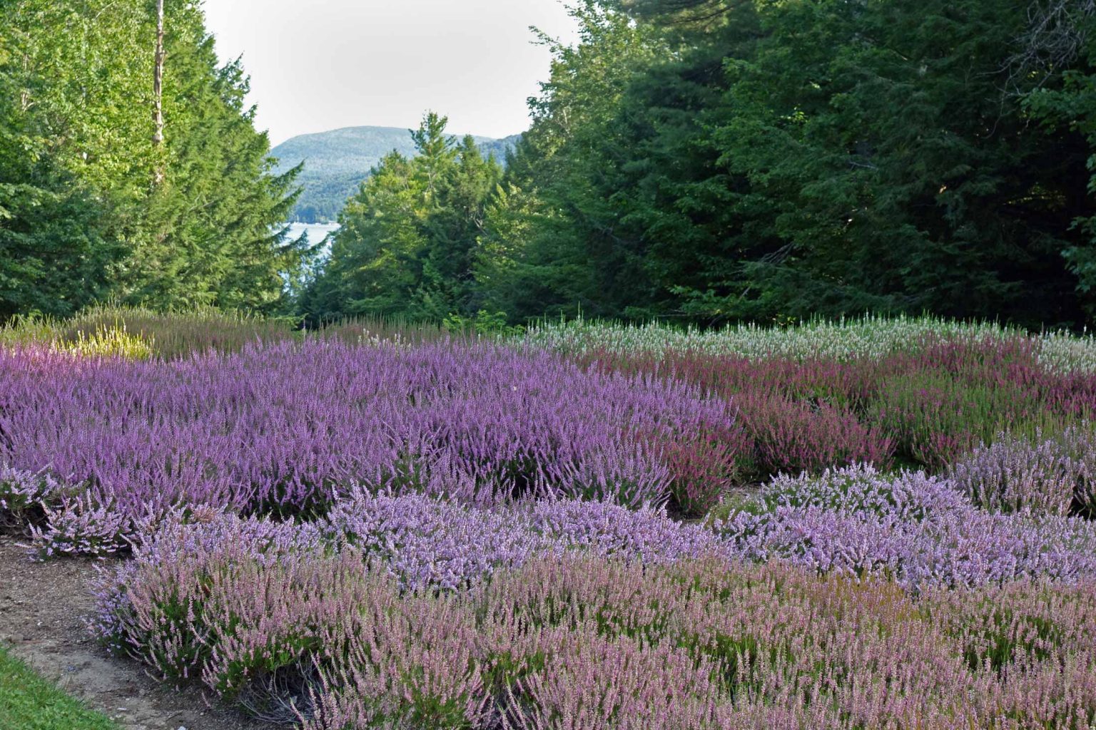 Members Only: Tour of John Hay Estate at the Fells - Enfield Shaker Museum